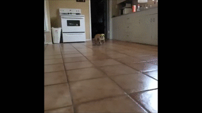 Sup GIF - Find on GIFER