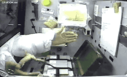 Frog floating GIF - Find on GIFER