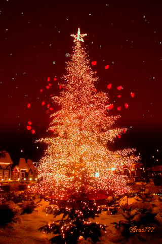 Tree GIF - Find on GIFER