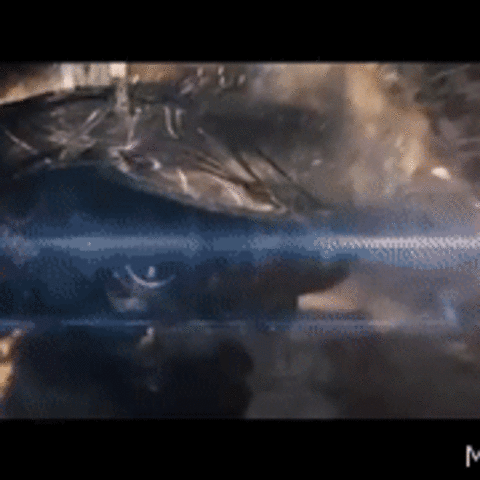 Mine bvs GIF - Find on GIFER