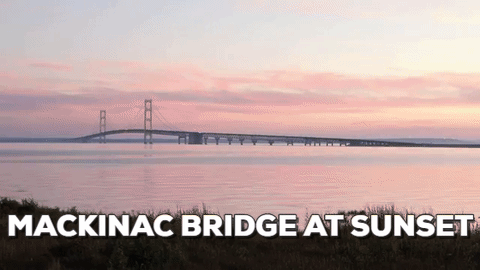 Perfection GIF - Find on GIFER