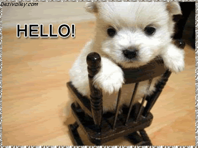 Hello GIF - Find on GIFER
