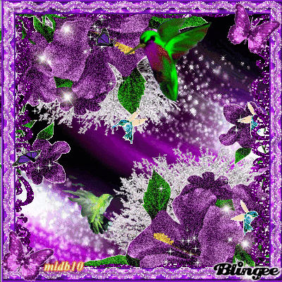 Garden GIF - Find on GIFER