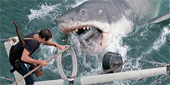 Jaws film classic GIF - Find on GIFER