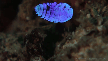 Interesting GIF - Find on GIFER