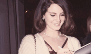 Fight GIF - Find on GIFER