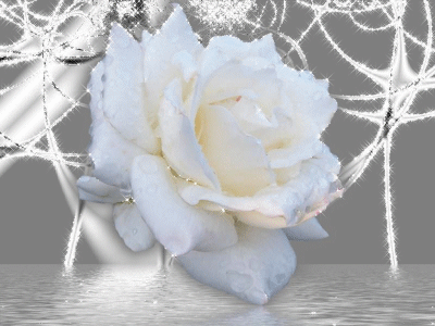 Rose GIF - Find on GIFER