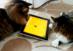 Ipad animation GIF - Find on GIFER