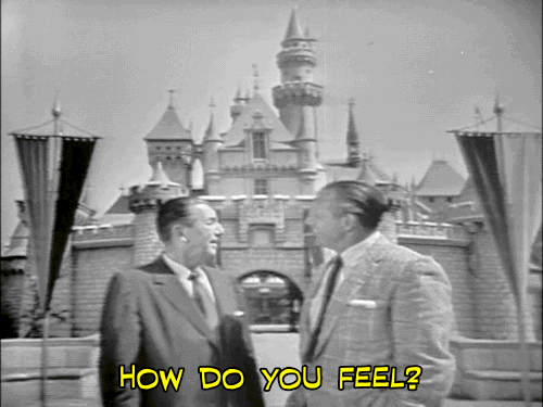 Disneyland Find On Er