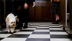GIF work - animated GIF on GIFER