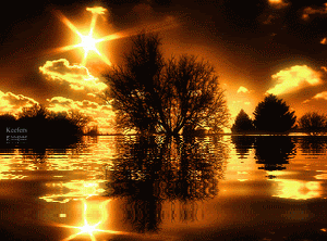 Sunset GIF - Find on GIFER
