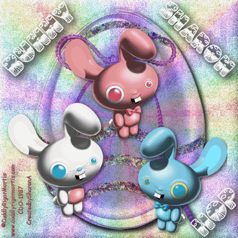 Bunny GIF - Find on GIFER