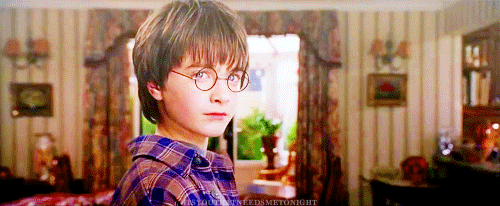Harry potter harry ss GIF - Find on GIFER