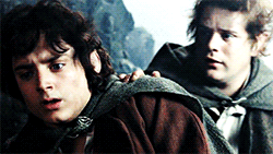 GIF frodo - animated GIF on GIFER