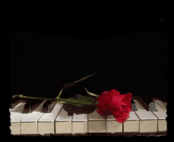 Piano imagens GIF - Encontrar em GIFER