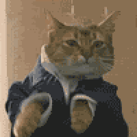 GIF hold - animated GIF on GIFER