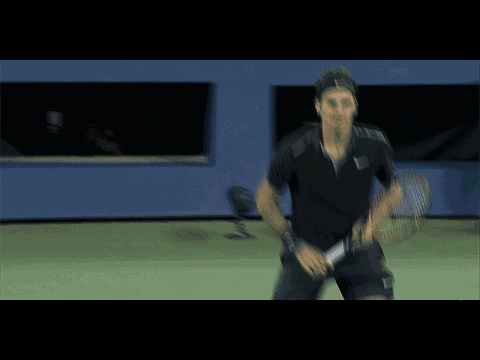 Roger federer federer cant wait GIF - Find on GIFER