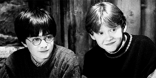 Where is everybody spongebob squarepants GIF - Find on GIFER