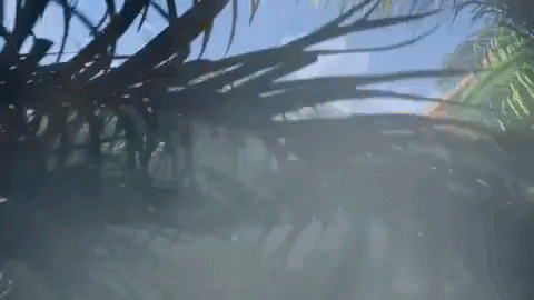Orlando water park universal studios GIF - Find on GIFER