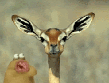 GIF wtf weird laugh - animated GIF on GIFER