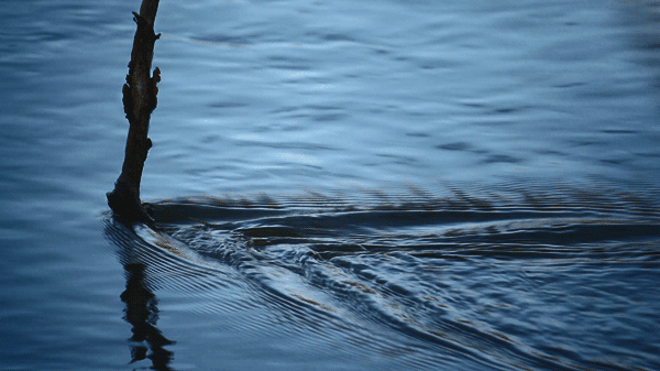 Cinemagraph river water GIF - Find on GIFER