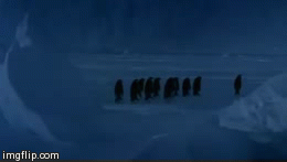 Life GIF - Find on GIFER