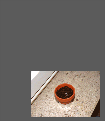 Check it out GIF - Find on GIFER