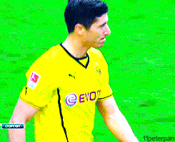 Bvb borussia dortmund lewandowski GIF - Find on GIFER
