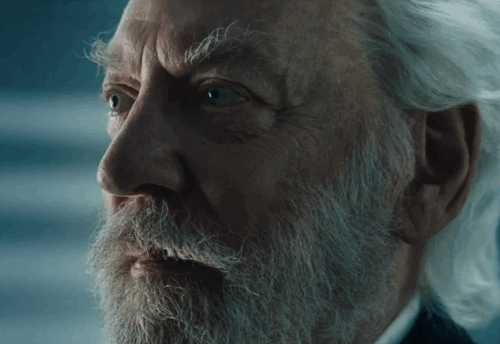 Catching fire GIF - Find on GIFER