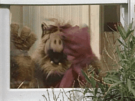 Alf dance 80s GIF - Find on GIFER