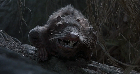 The princess bride GIF on GIFER - by Beazetus