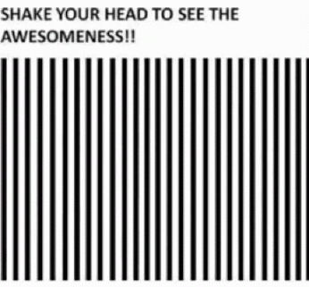 Head GIF - Find on GIFER