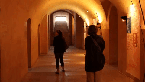 Paris france paris france GIF - Find on GIFER