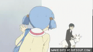GIF op - animated GIF on GIFER