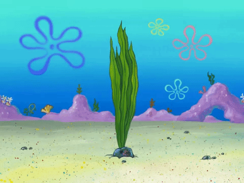 Spongebob squarepants season 7 episode 21 GIF - Find on GIFER