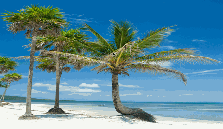 Tree GIF - Find on GIFER