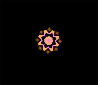 GIF born this way - animated GIF on GIFER