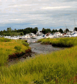 Rivers edge GIF - Find on GIFER