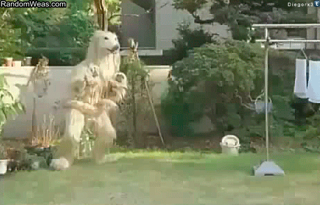 Move nothing GIF - Find on GIFER