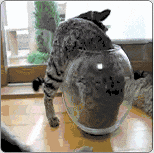 Perfect fit GIF - Find on GIFER