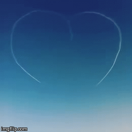 GIF flight - animated GIF on GIFER