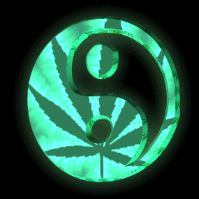 Pot GIF - Find on GIFER