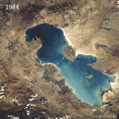 GIF iran - animated GIF on GIFER - by Bluddragon