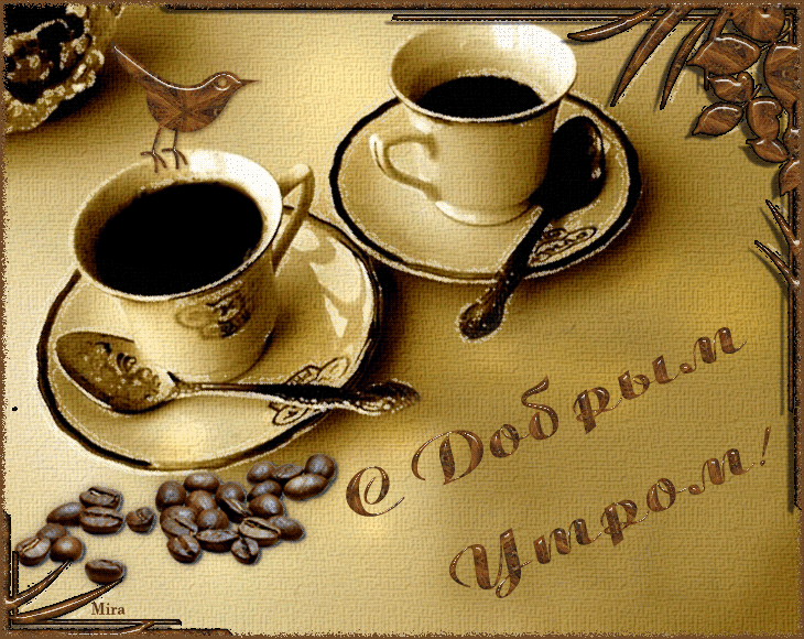 The view GIF - Find on GIFER