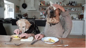 Another country GIF - Find on GIFER