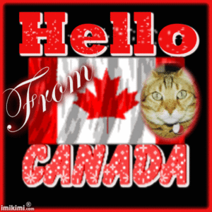 Canada day GIF - Find on GIFER
