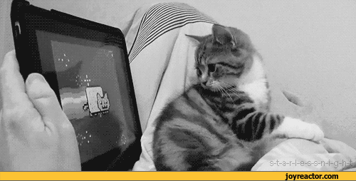 Crazy GIF - Find on GIFER