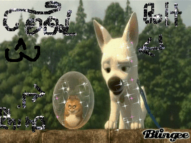 GIF to have and have not - animated GIF on GIFER