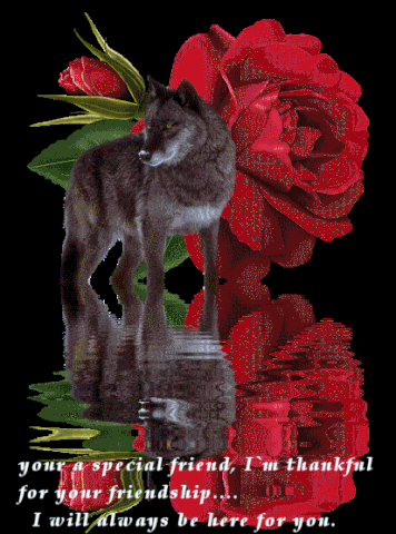 GIF animal friendship - animated GIF on GIFER