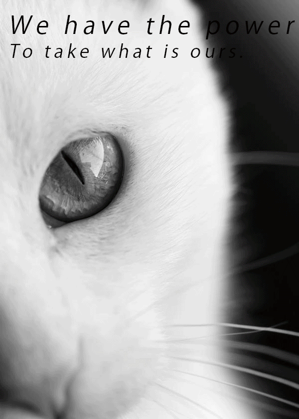 Transformacion GIF - Encontrar en GIFER